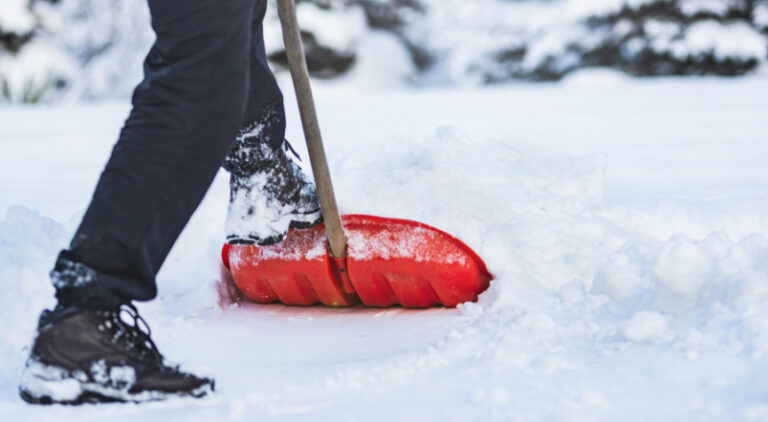 General Physical Preparedness | Exercise & Fitness | myHMB®